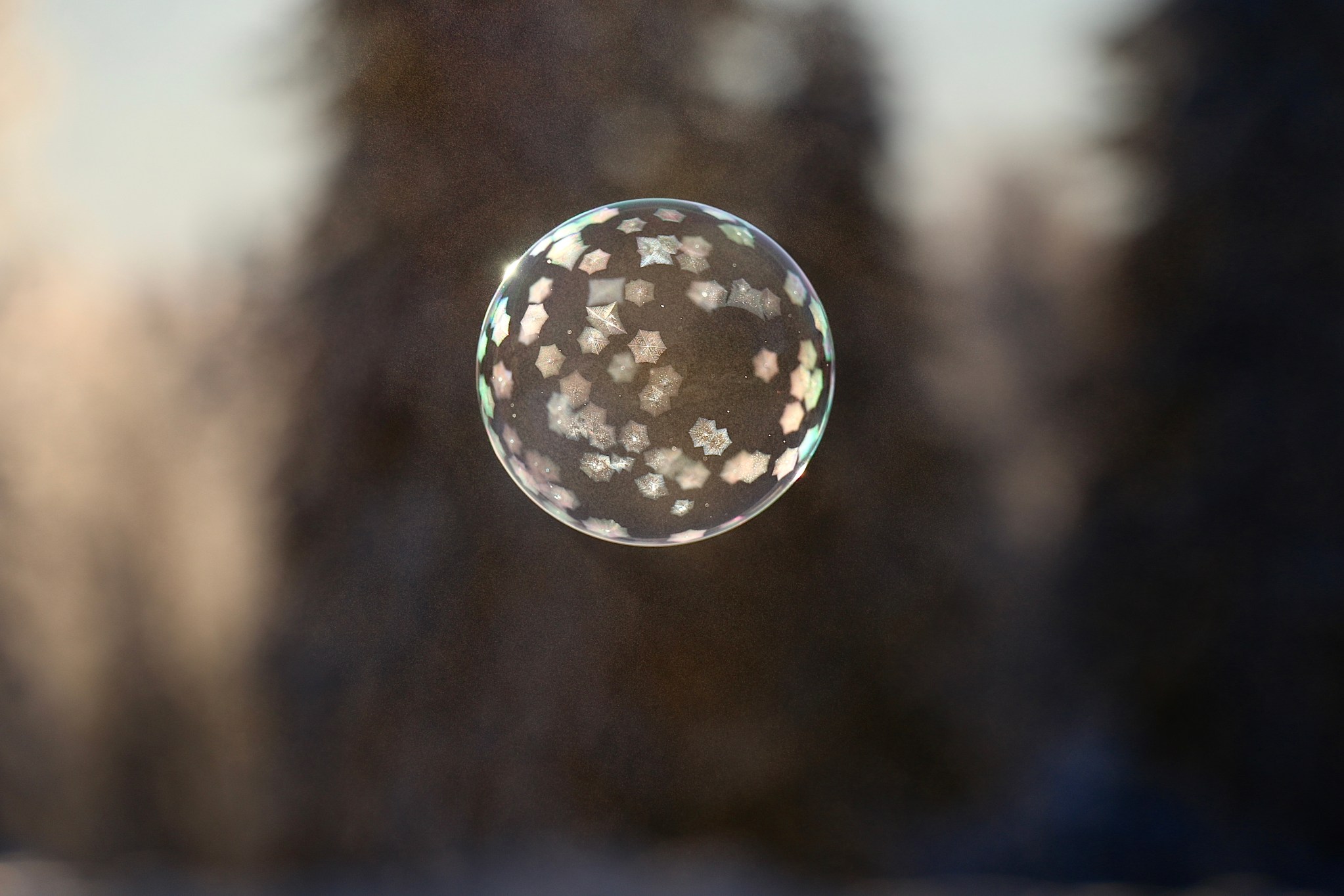 Assorted frozen bubbles – Martin Up North
