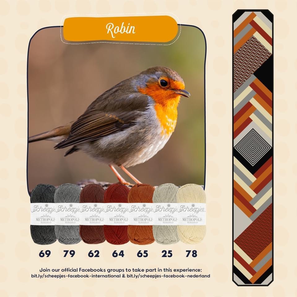 SCHEEPJES Dawn Chorus Pick & Mix CKAL Experience – the Goldcrest Scarf ...