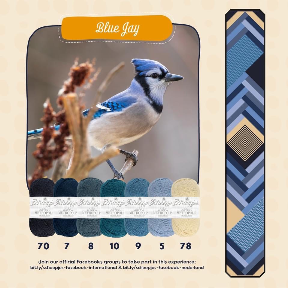 SCHEEPJES Dawn Chorus Pick & Mix CKAL Experience – the Goldcrest Scarf ...